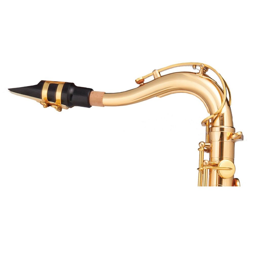 Sax Alto Dual Gold Dourado WASM-48 EB - Michael | Alto | Ninja Som ...