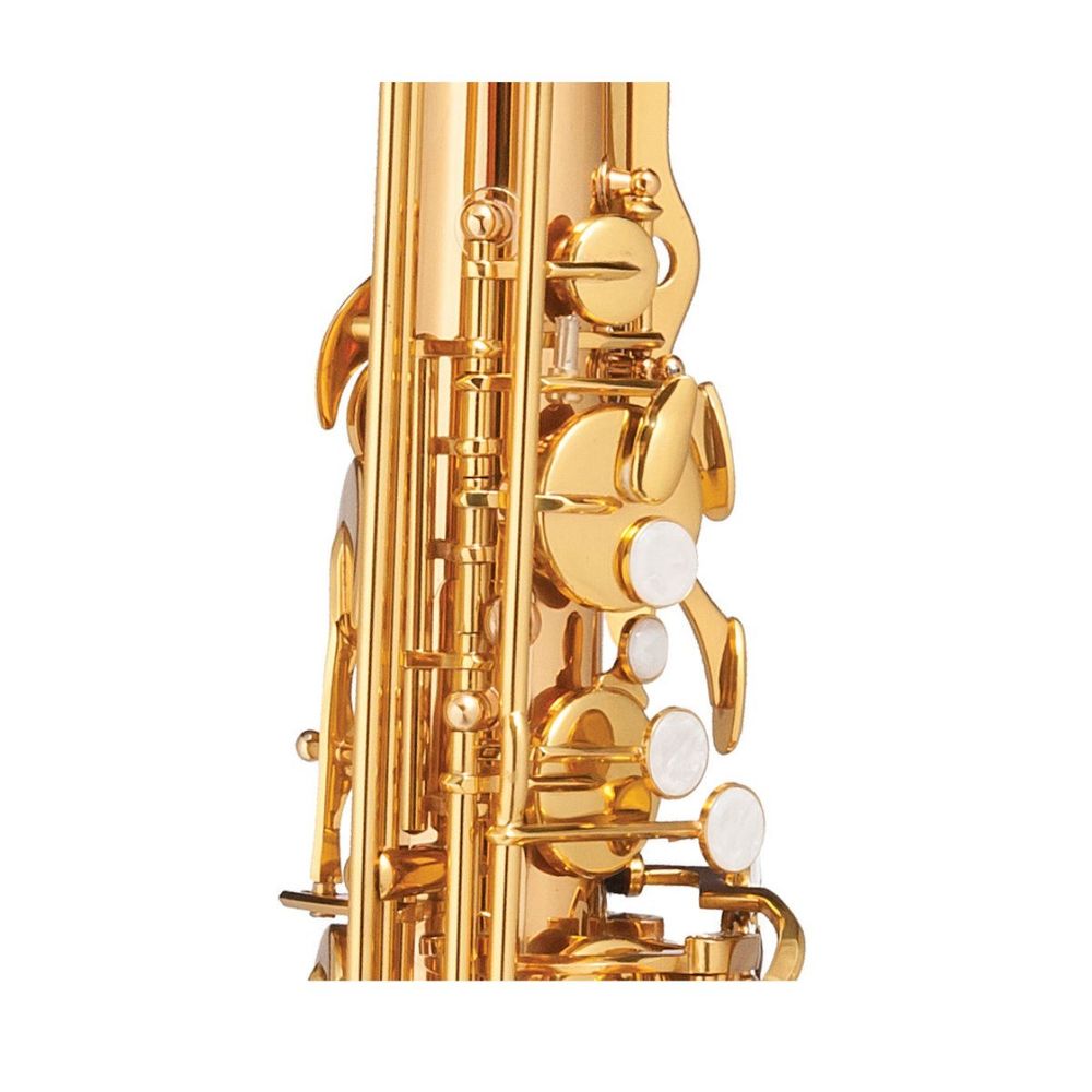 Sax Alto Dual Gold Dourado WASM-48 EB - Michael | Alto | Ninja Som ...