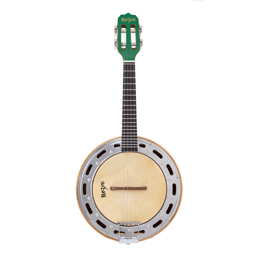 Banjo Elétrico Caixa Larga RJ-11 EL.V - Rozini | Banjos | Ninja Som ...